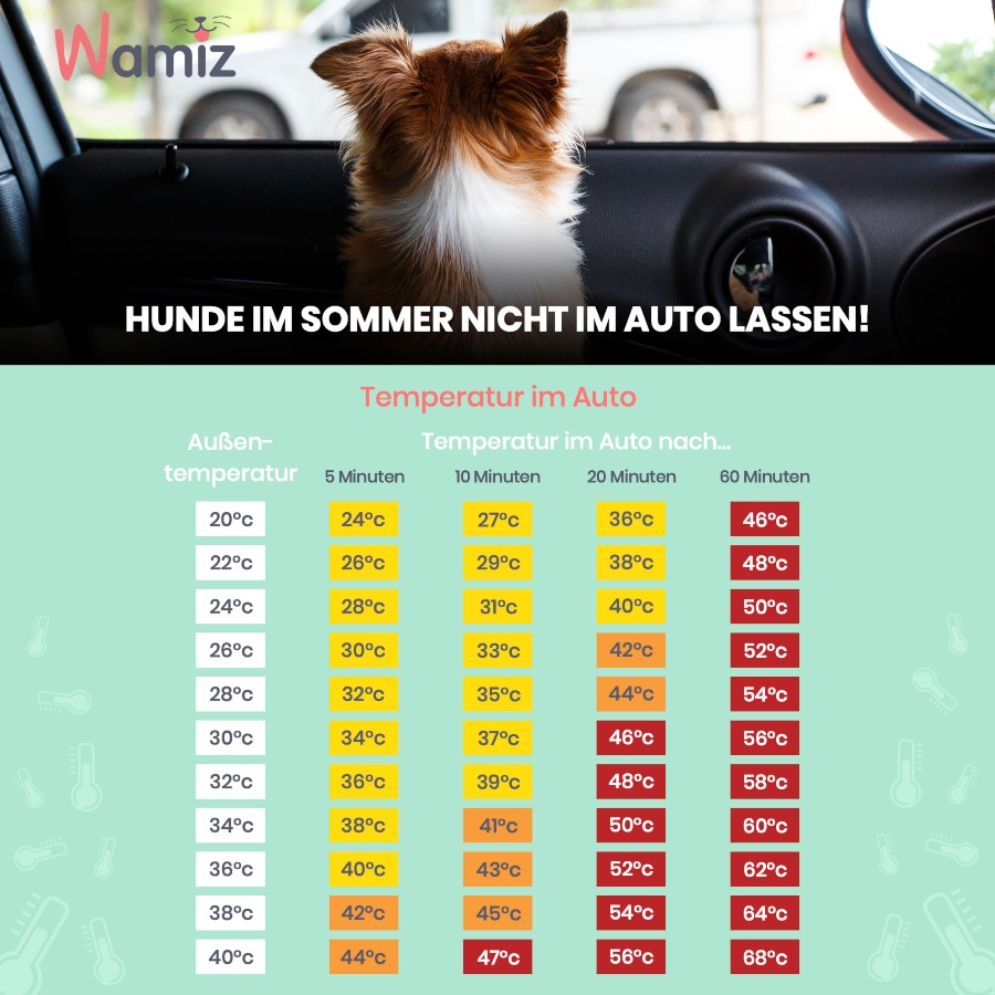 Darf ich die Scheibe einschlagen, wenn ein Hund bei Hitze im Auto ist? Darf ich die Scheibe einschlagen, wenn ein Hund bei Hitze im Auto ist?
